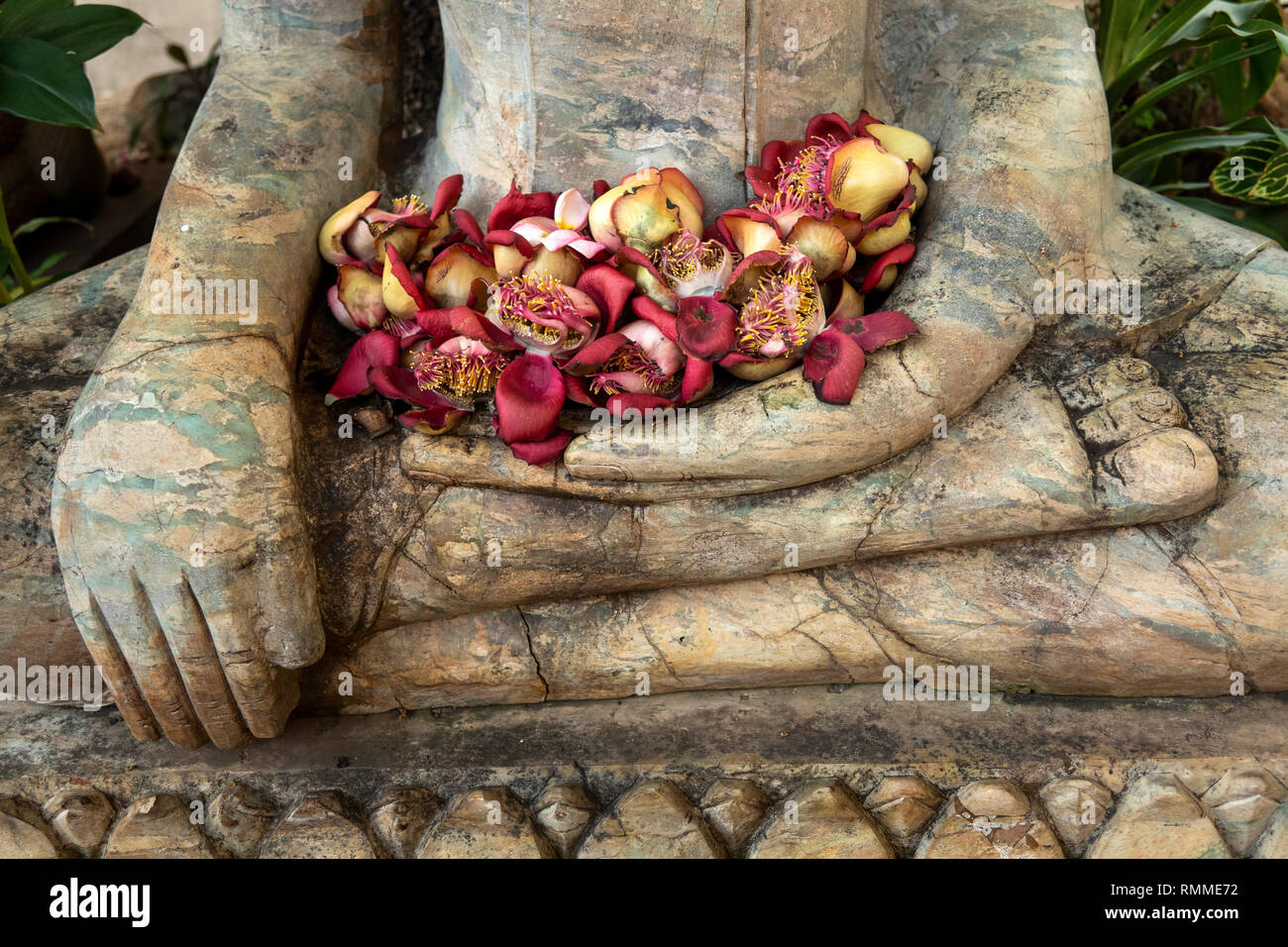 Hand mudras hi-res stock photography and images - Alamy