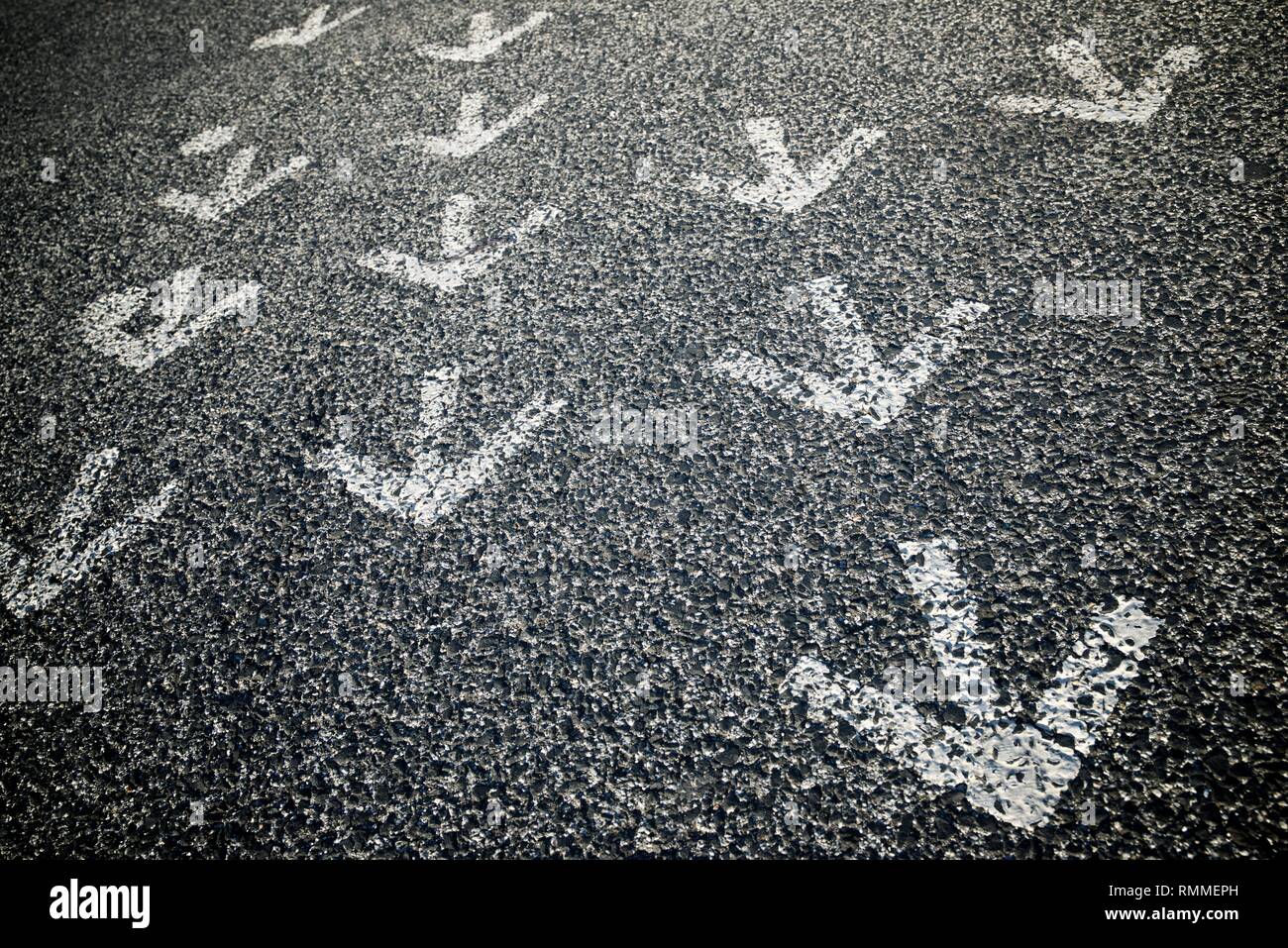 Directional arrows painted on a cement floor Stock Photo - Alamy