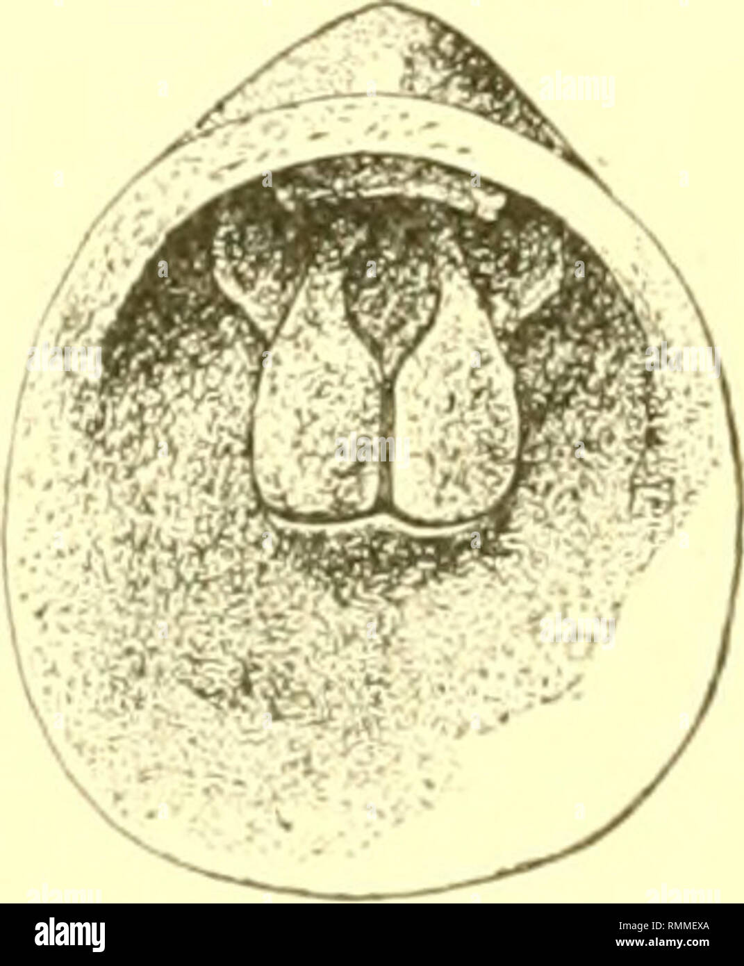 Thk triangular hi-res stock photography and images - Alamy