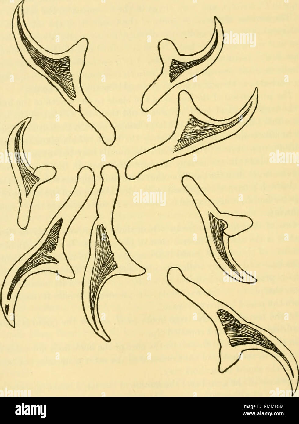 . Annals of applied biology. Biology, Economic; Biochemistry. 140 On a ...