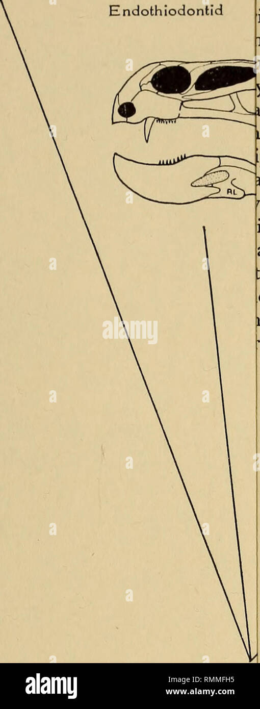 . Annals of the South African Museum = Annale van die Suid-Afrikaanse ...