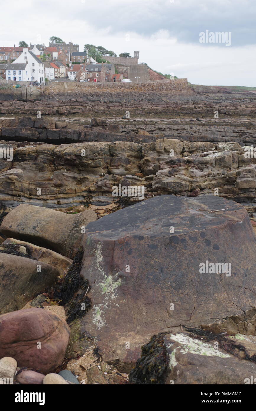 Lepidodendron Tree Trunk Fossil. Scottish Carboniferous Geology Exposed ...