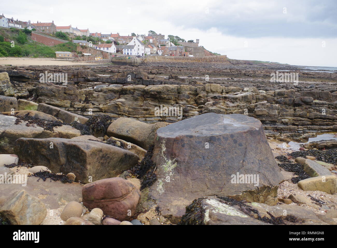 Lepidodendron Tree Trunk Fossil. Scottish Carboniferous Geology Exposed ...