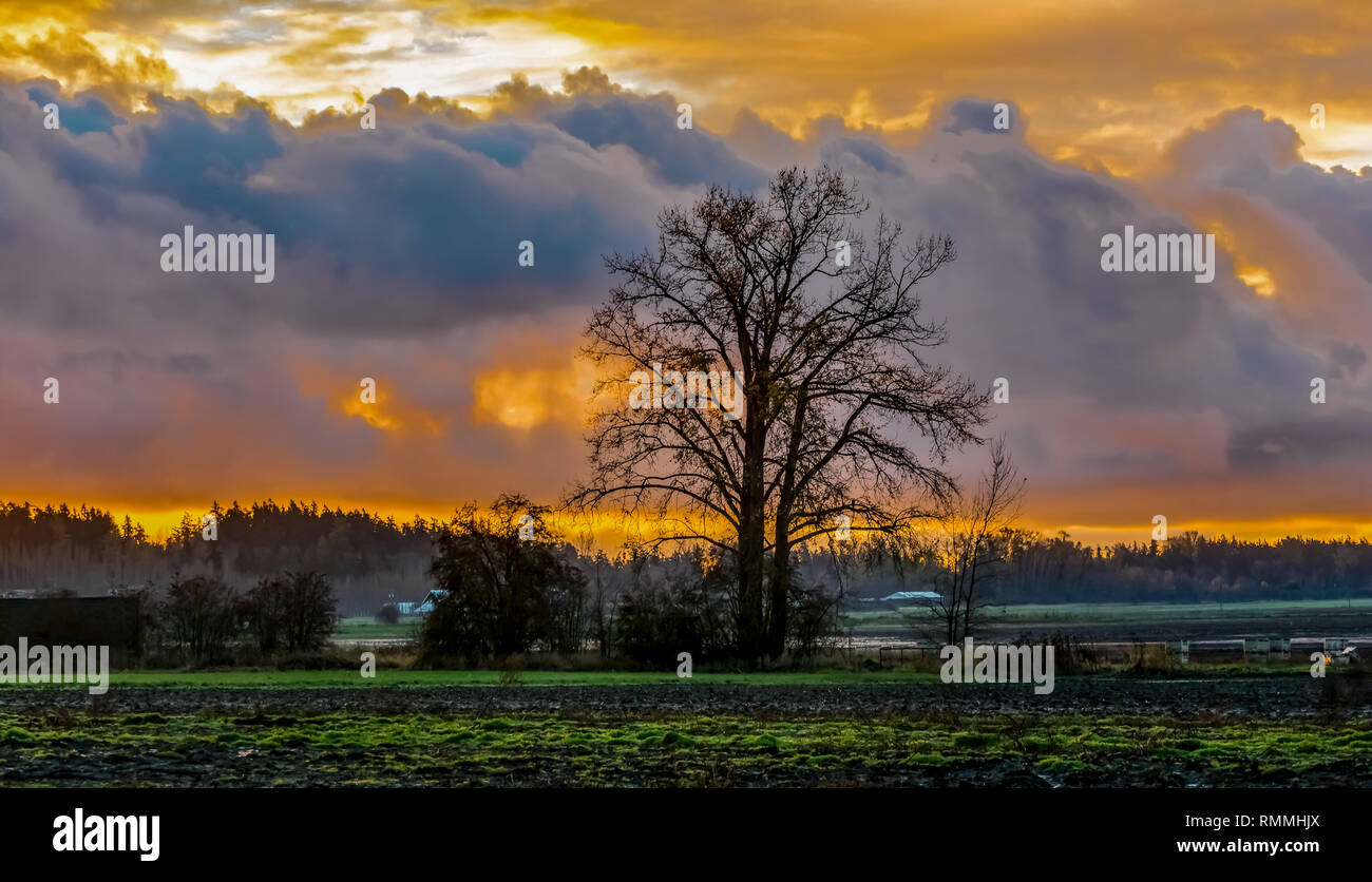 Rural landscape, British Columbia, Canada Stock Photo - Alamy