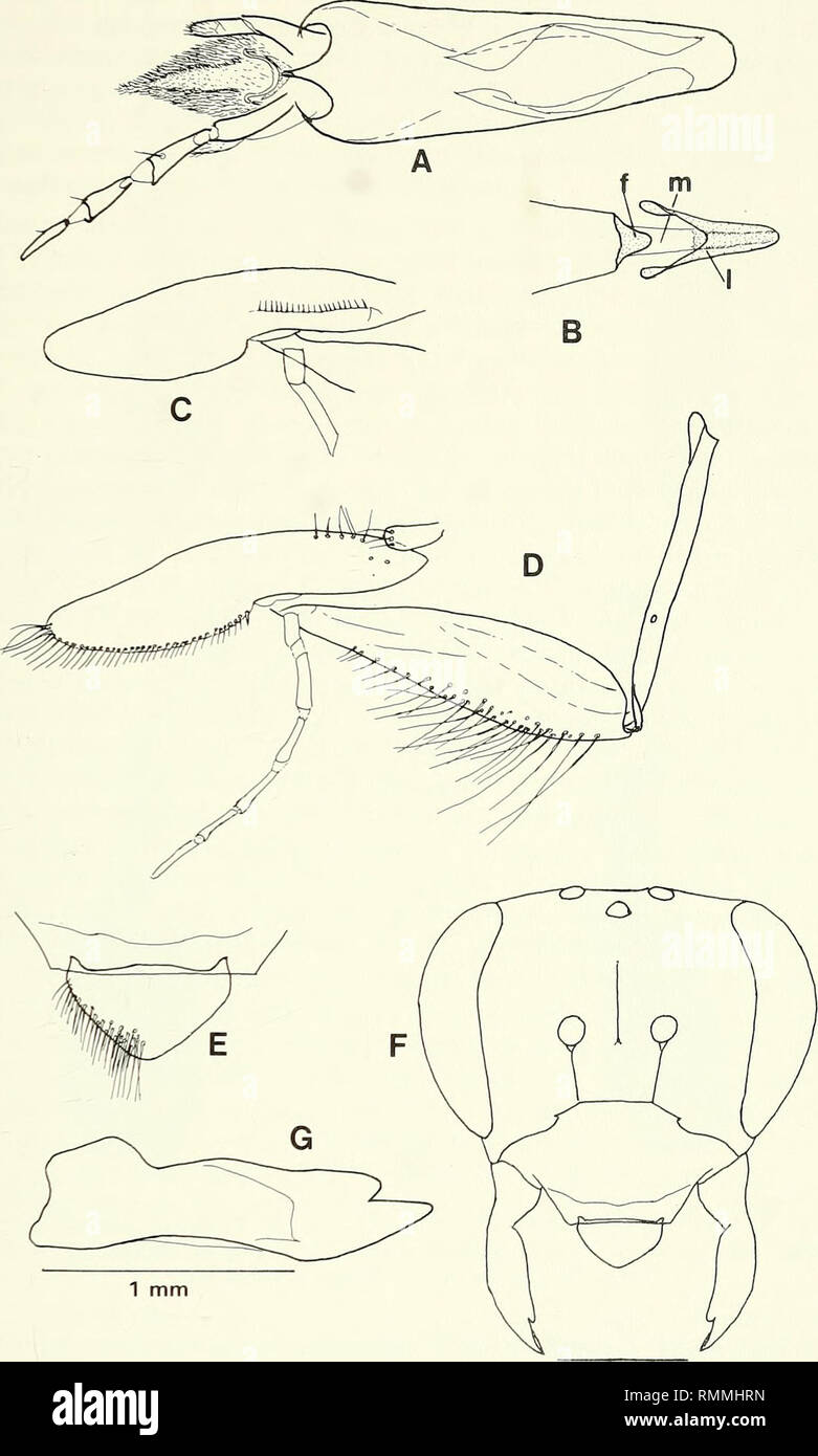 Prementum hi-res stock photography and images - Alamy