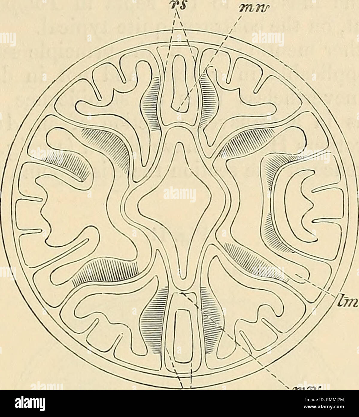 . The Annals and magazine of natural history; zoology, botany, and ...