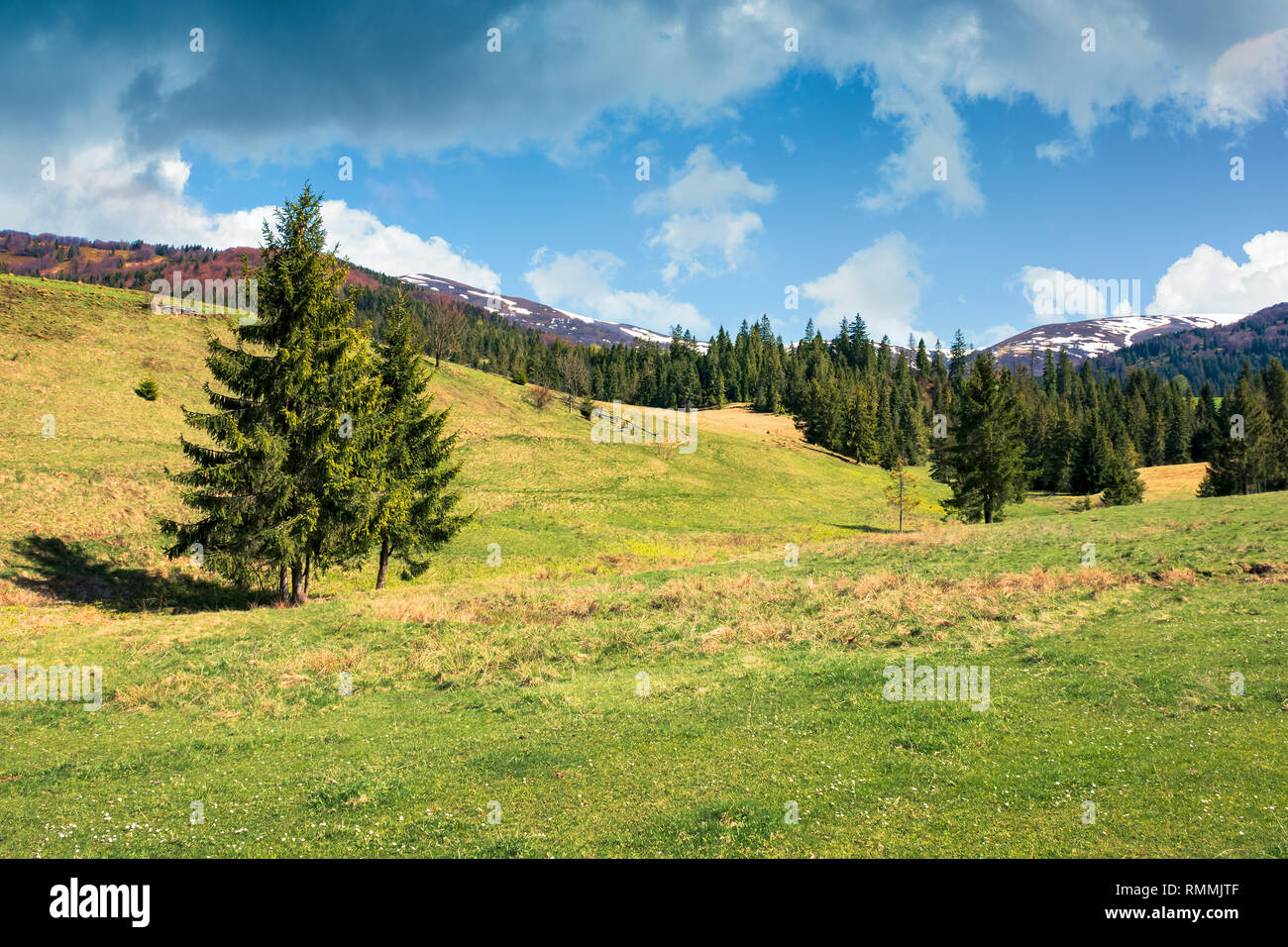 Beautiful countryside landscape pine hi-res stock photography and ...