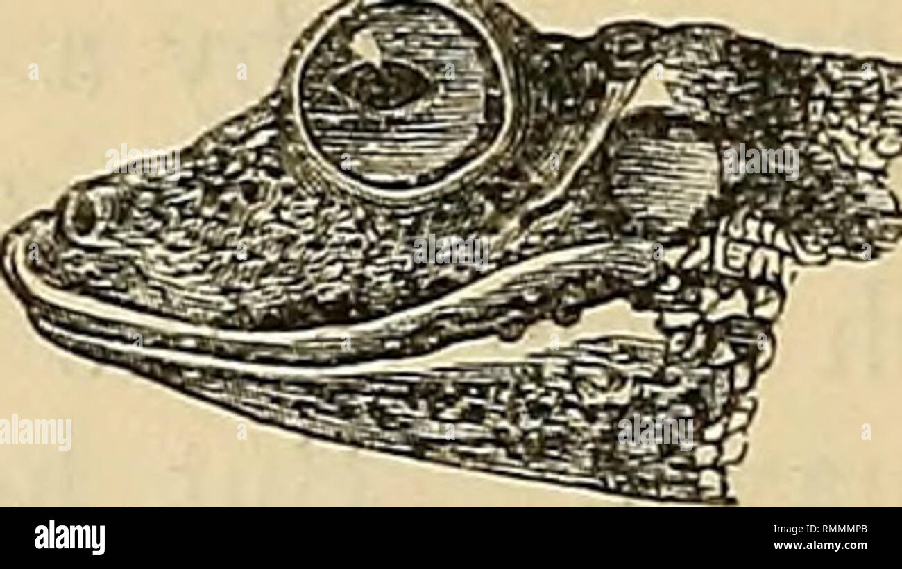 . The Annals and magazine of natural history; zoology, botany, and ...