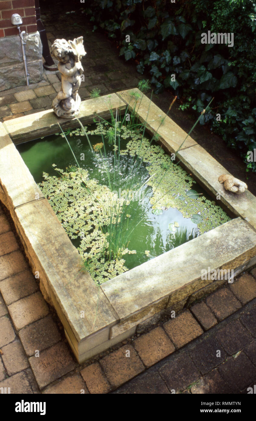 VIEW OVER SMALL GARDEN POND IN A COURTYARD GARDEN, SYDNEY, NEW SOUTH ...