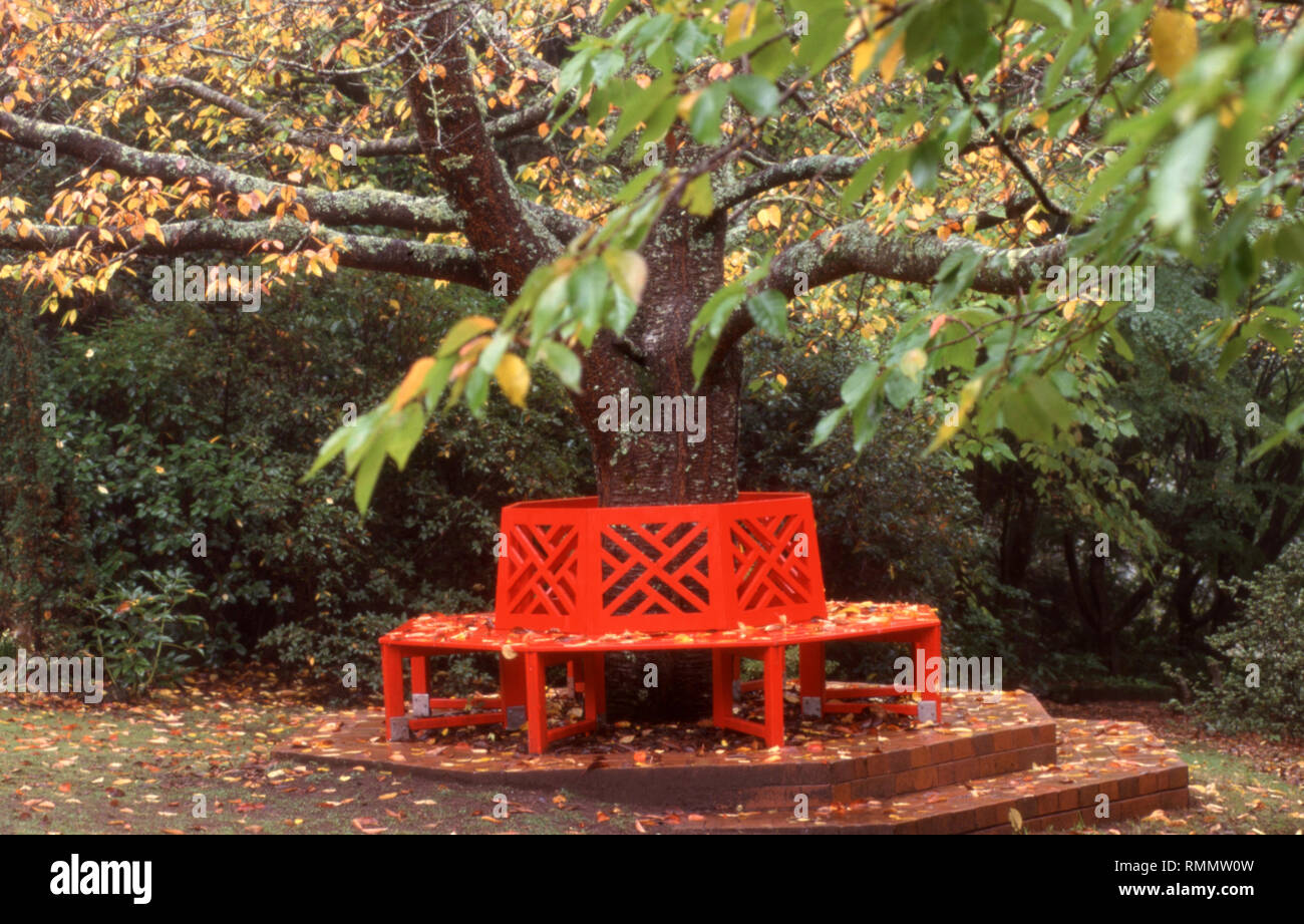 fallen, scattered, leaf, leaves Stock Photo - Alamy