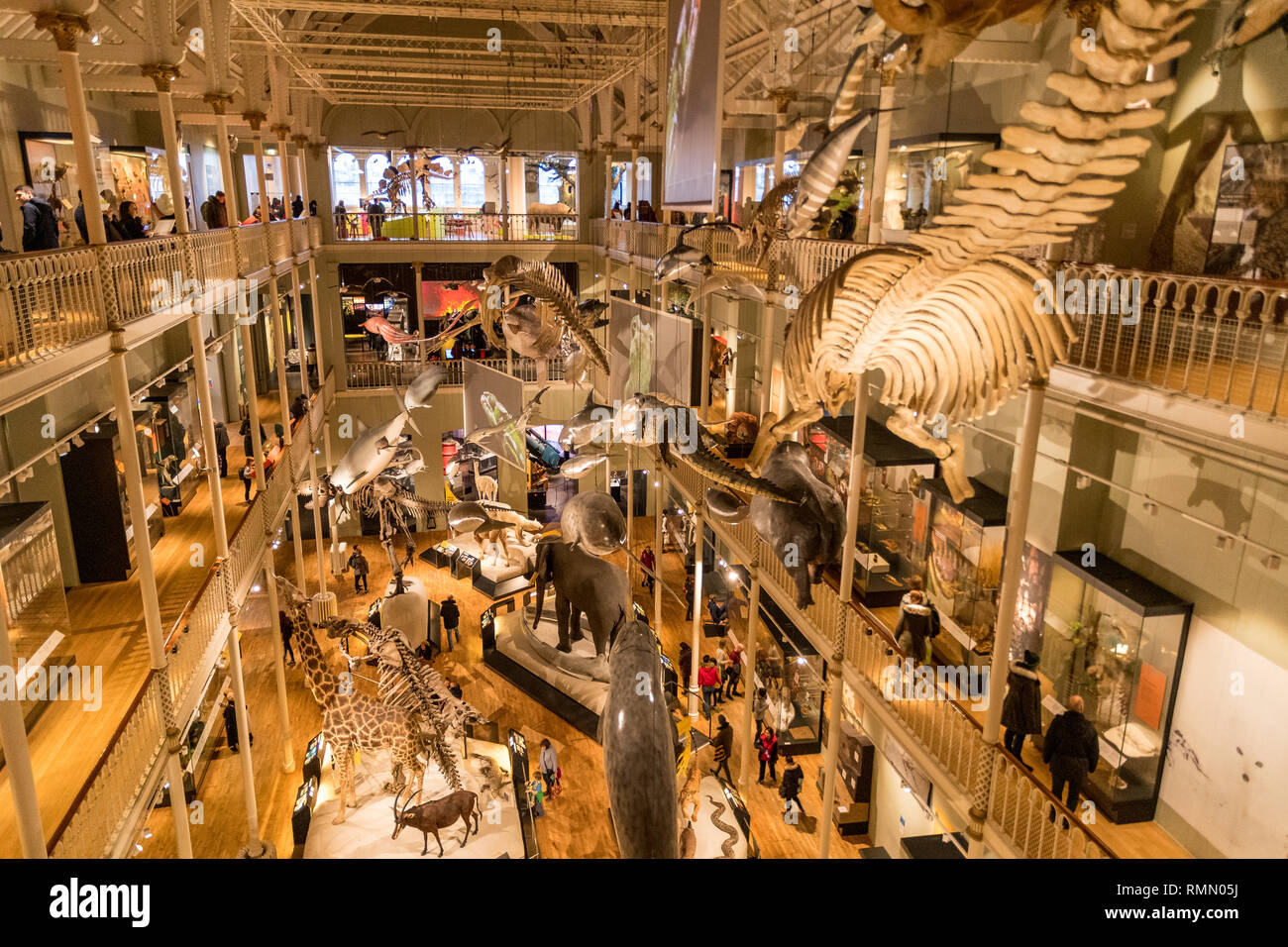 Museum of Scotland in Edinburgh Stock Photo - Alamy
