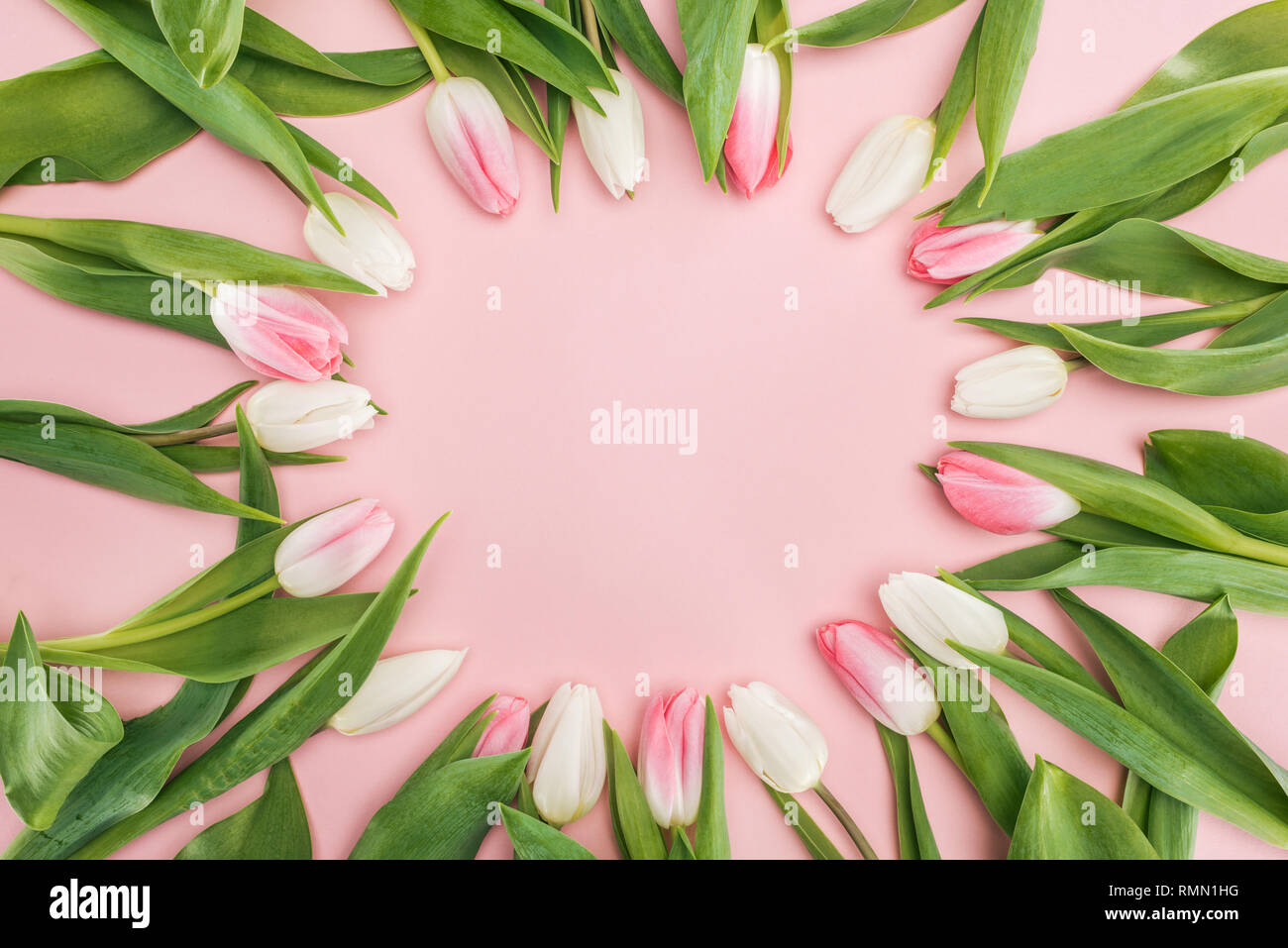Circle of tulips hi-res stock photography and images - Alamy
