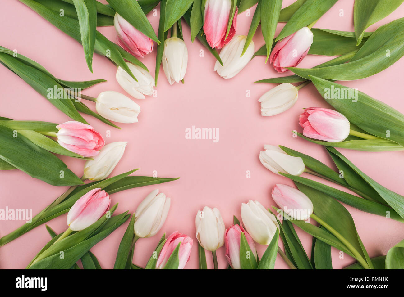 Circle of tulips hi-res stock photography and images - Alamy
