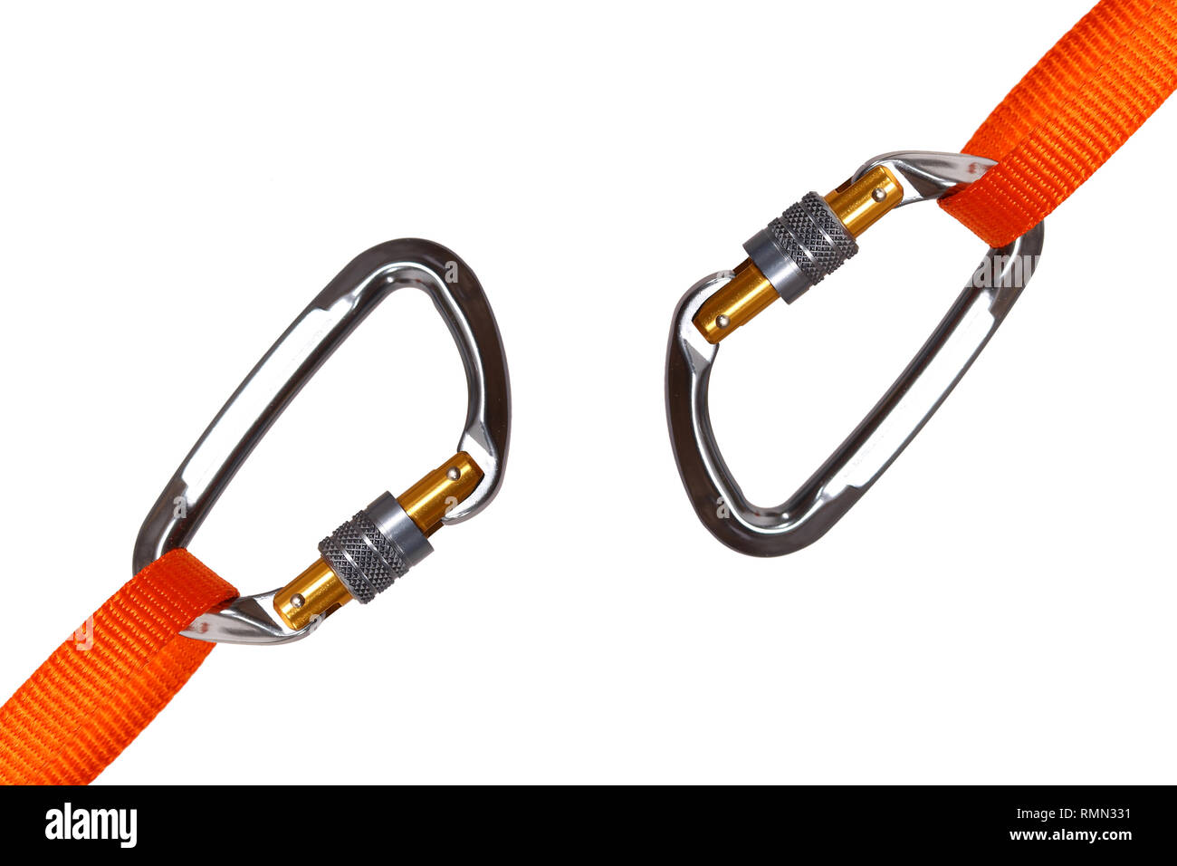 Carabina carabina hi-res stock photography and images - Alamy