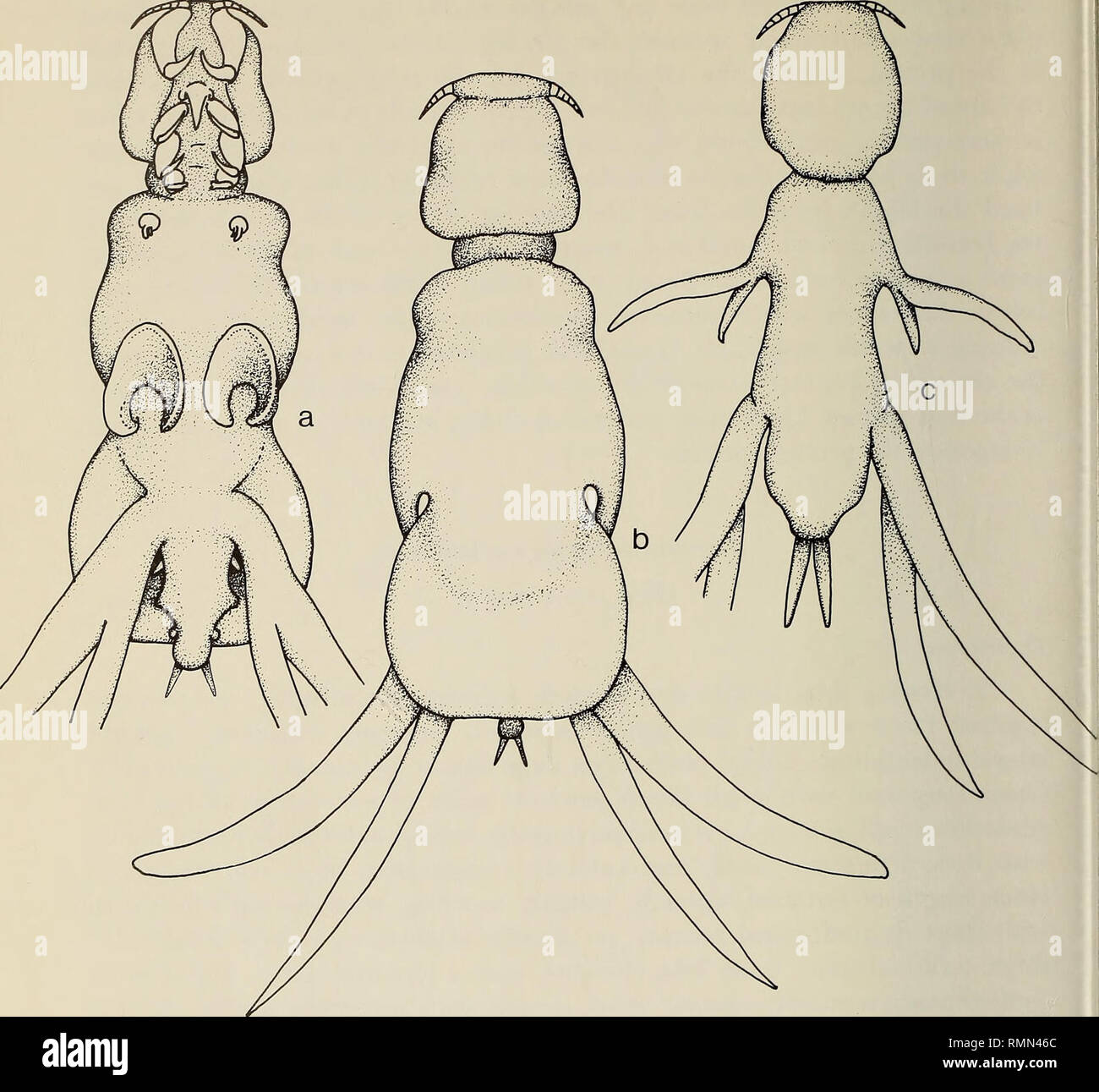 . Annals of the South African Museum = Annale van die Suid-Afrikaanse ...