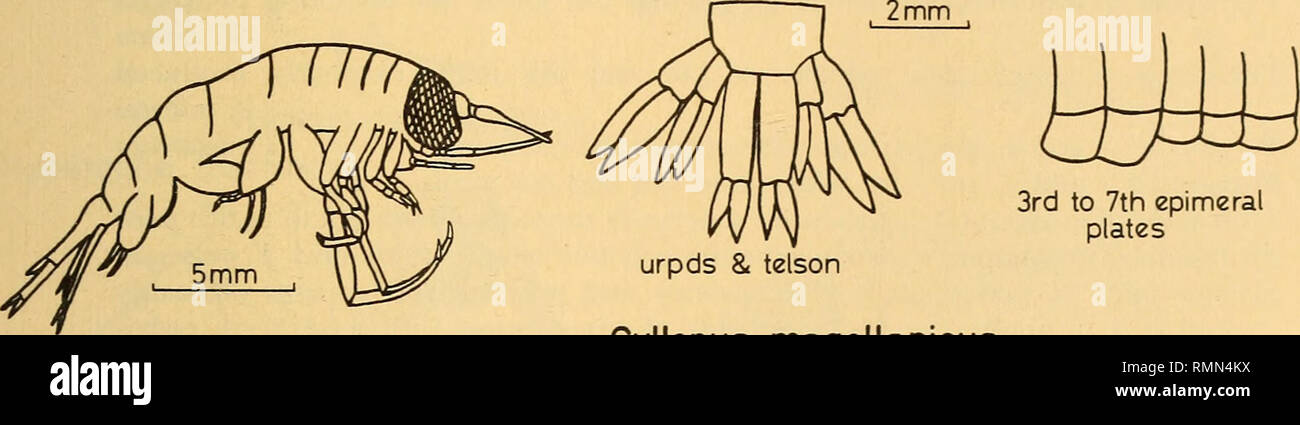 . Annals of the South African Museum = Annale van die Suid-Afrikaanse ...