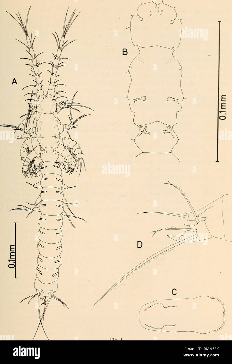 . Annals of the South African Museum = Annale van die Suid-Afrikaanse ...
