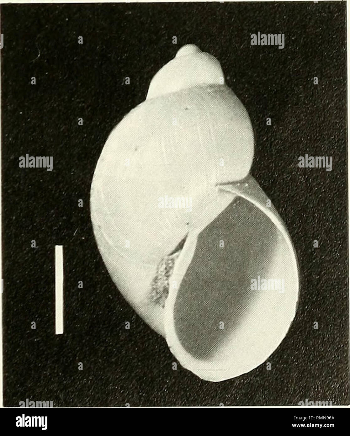 Width 573 mm hi-res stock photography and images - Alamy