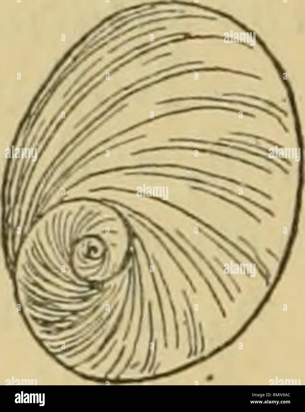 . The Annals and magazine of natural history; zoology, botany, and ...