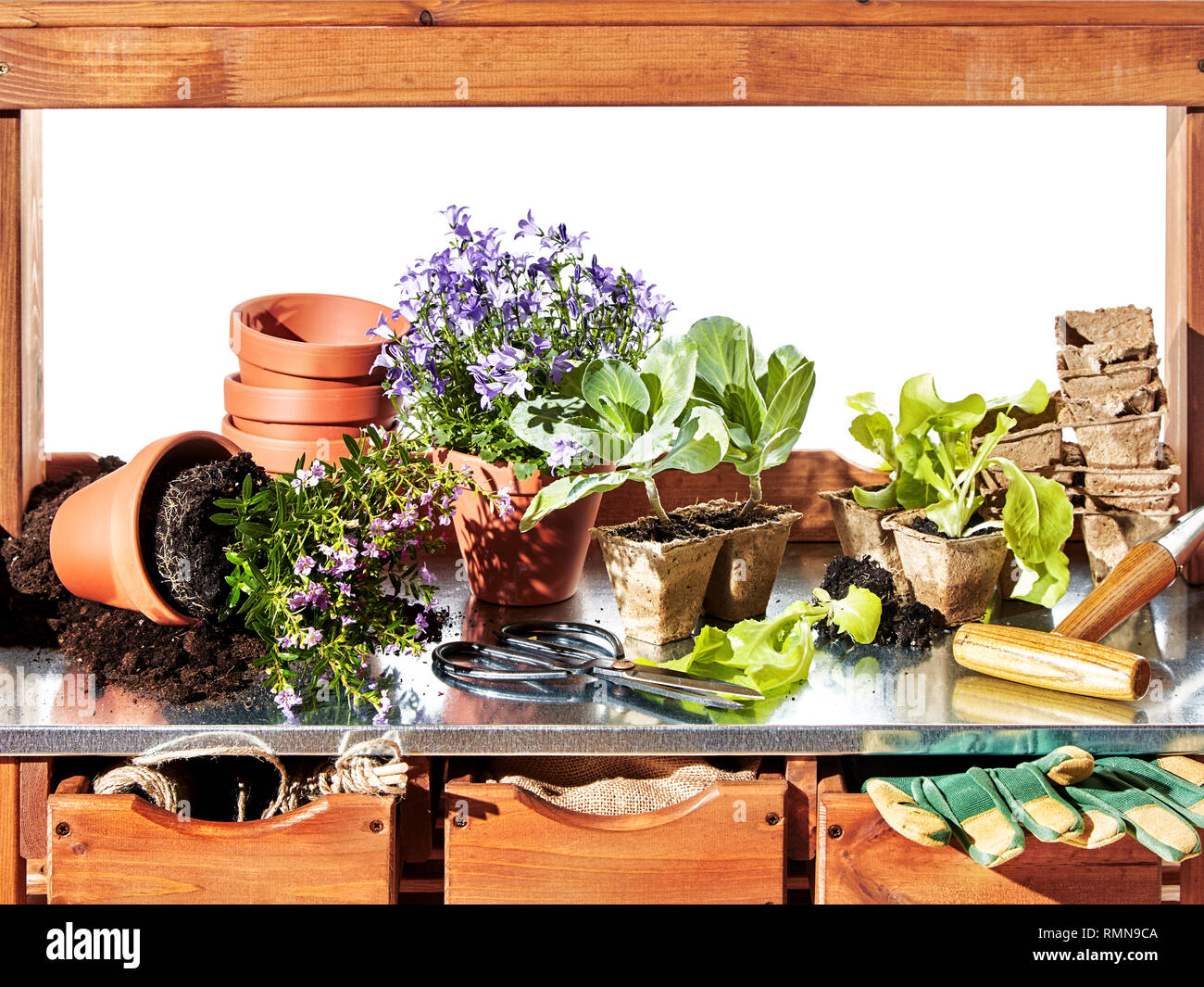 Gardening theme hi-res stock photography and images - Alamy
