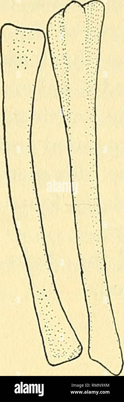 Van constricted hi-res stock photography and images - Alamy