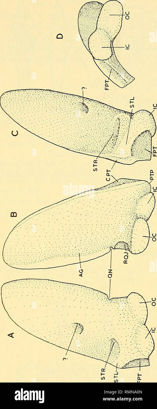 . Annals of the South African Museum = Annale van die Suid-Afrikaanse ...