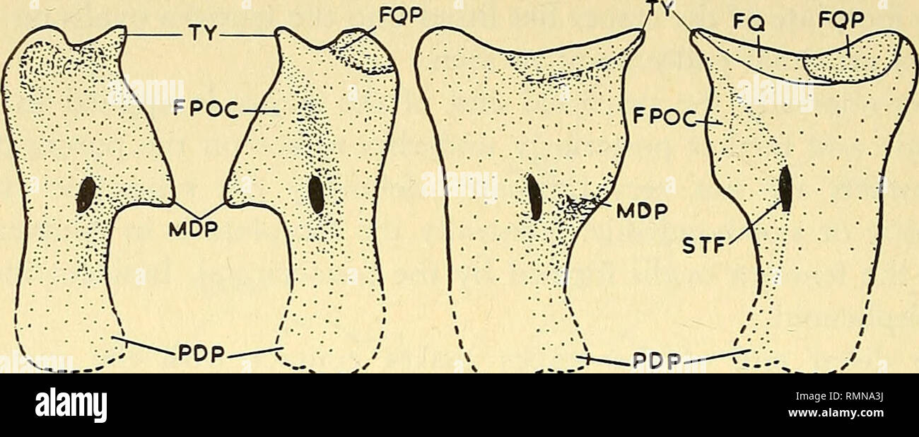 . Annals of the South African Museum = Annale van die Suid-Afrikaanse ...