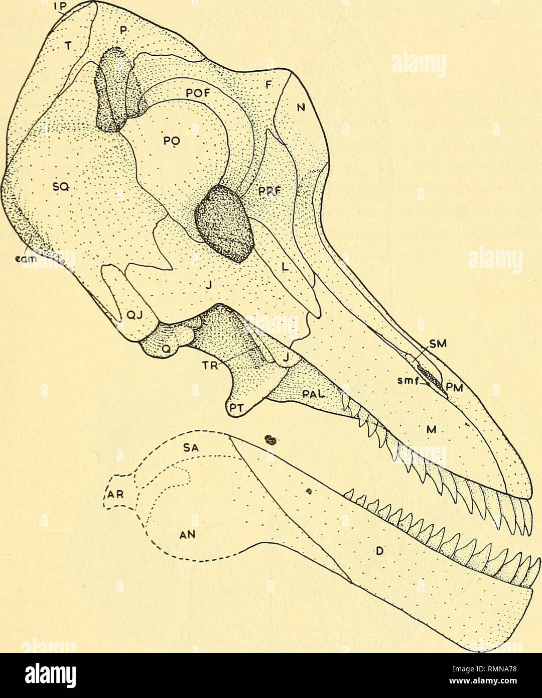 . Annals of the South African Museum = Annale van die Suid-Afrikaanse ...