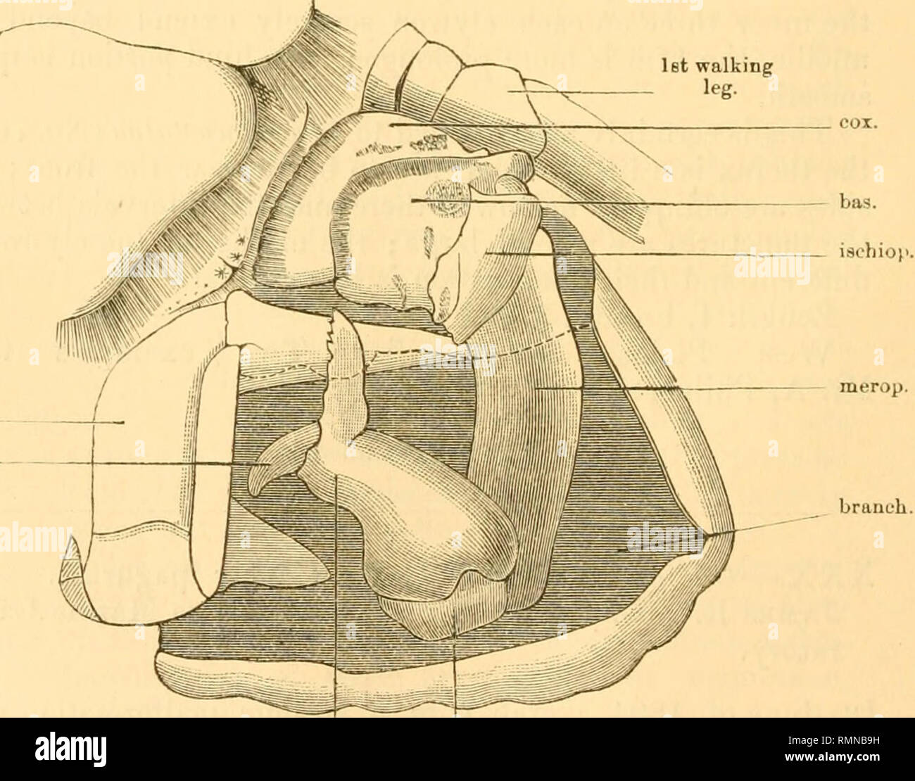 Rigid process hi-res stock photography and images - Alamy