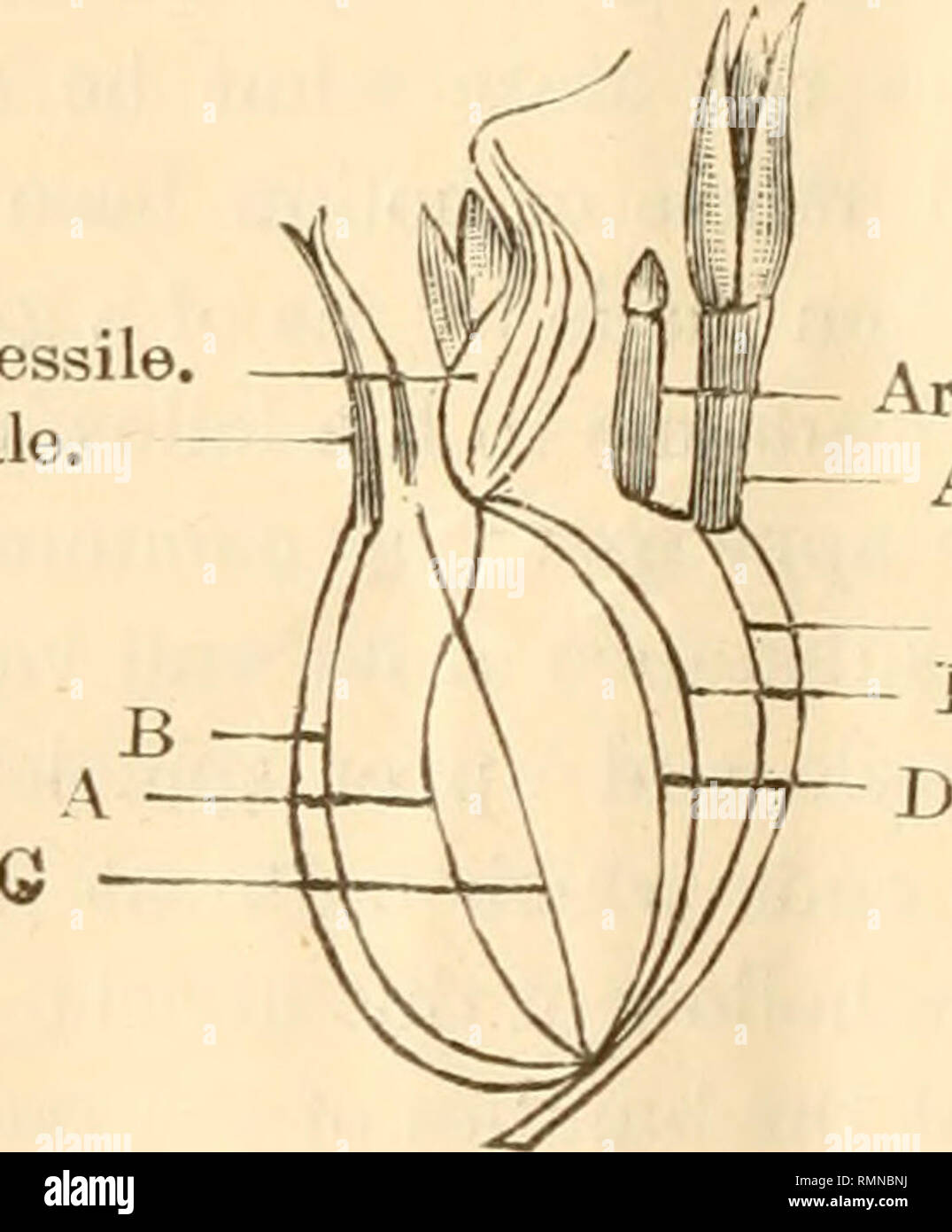 Peradeniya junction hi-res stock photography and images - Alamy