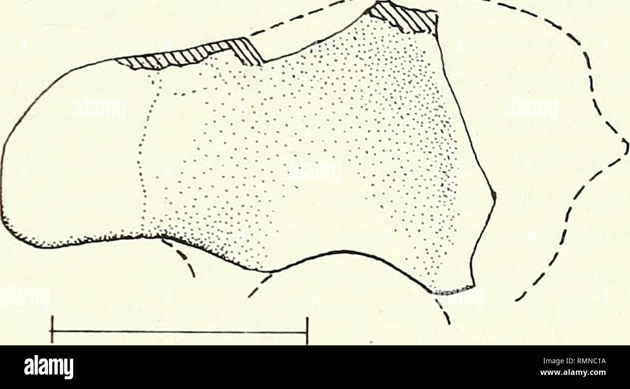 . Annals of the South African Museum = Annale van die Suid-Afrikaanse ...