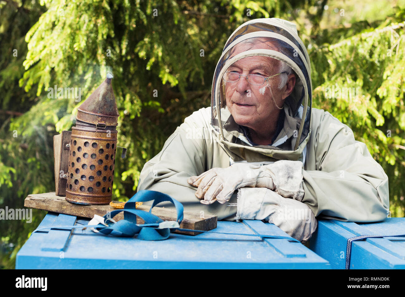 Bee thoughtful hi-res stock photography and images - Alamy