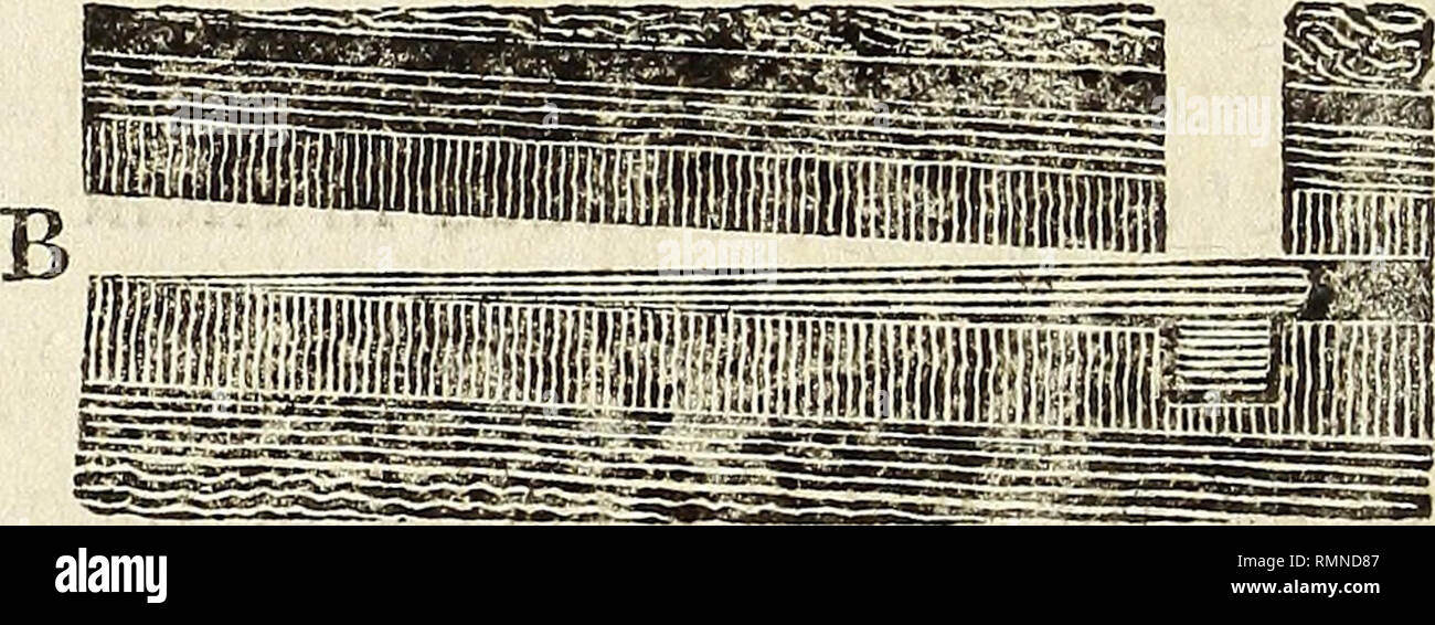 Felling colliery hi-res stock photography and images - Alamy