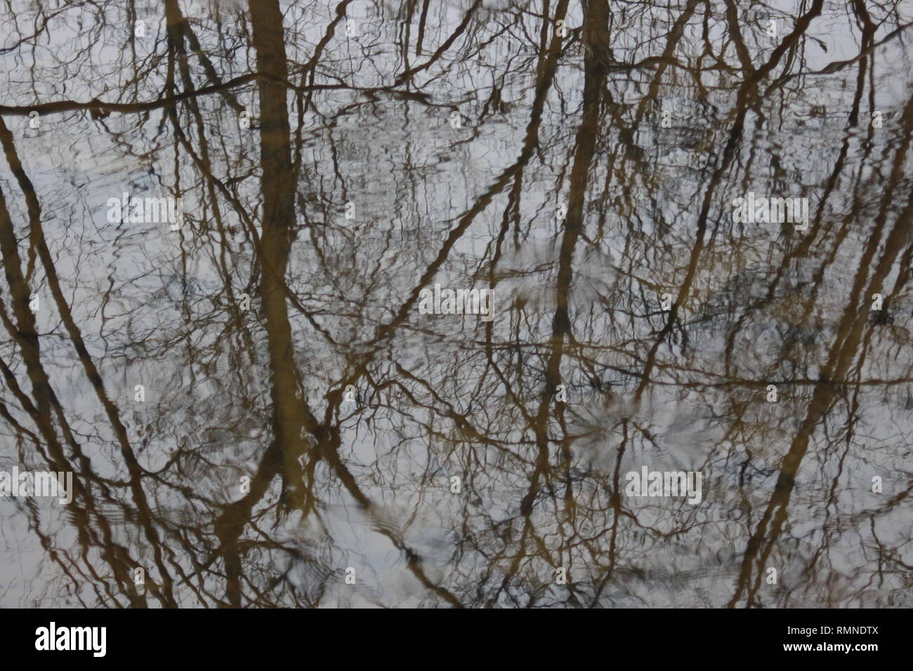 Stillwater pond hi-res stock photography and images - Alamy