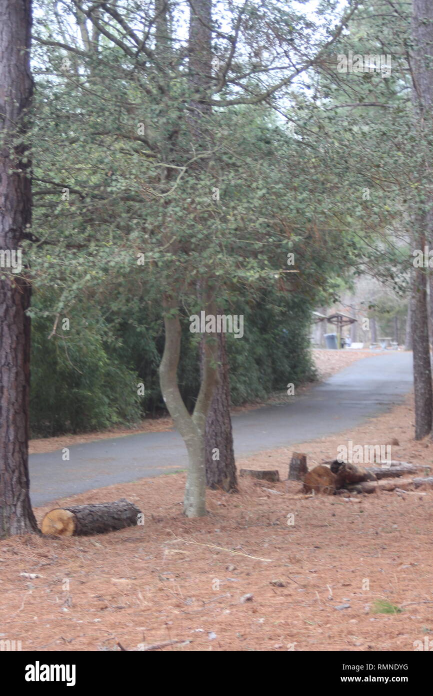 Waiting my Turn Stock Photo - Alamy