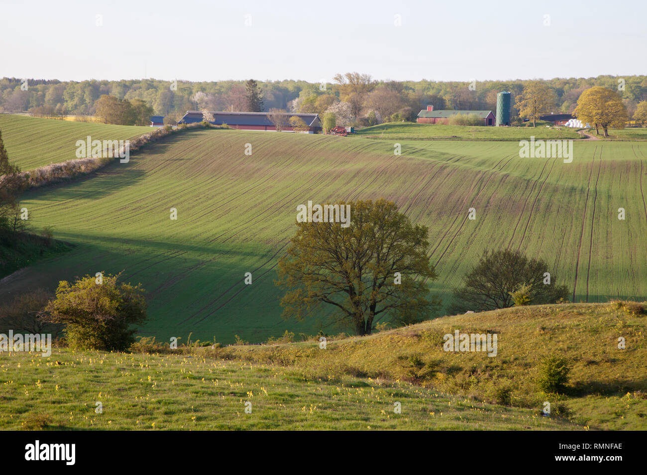 Rural landscape field pasture hi-res stock photography and images - Alamy