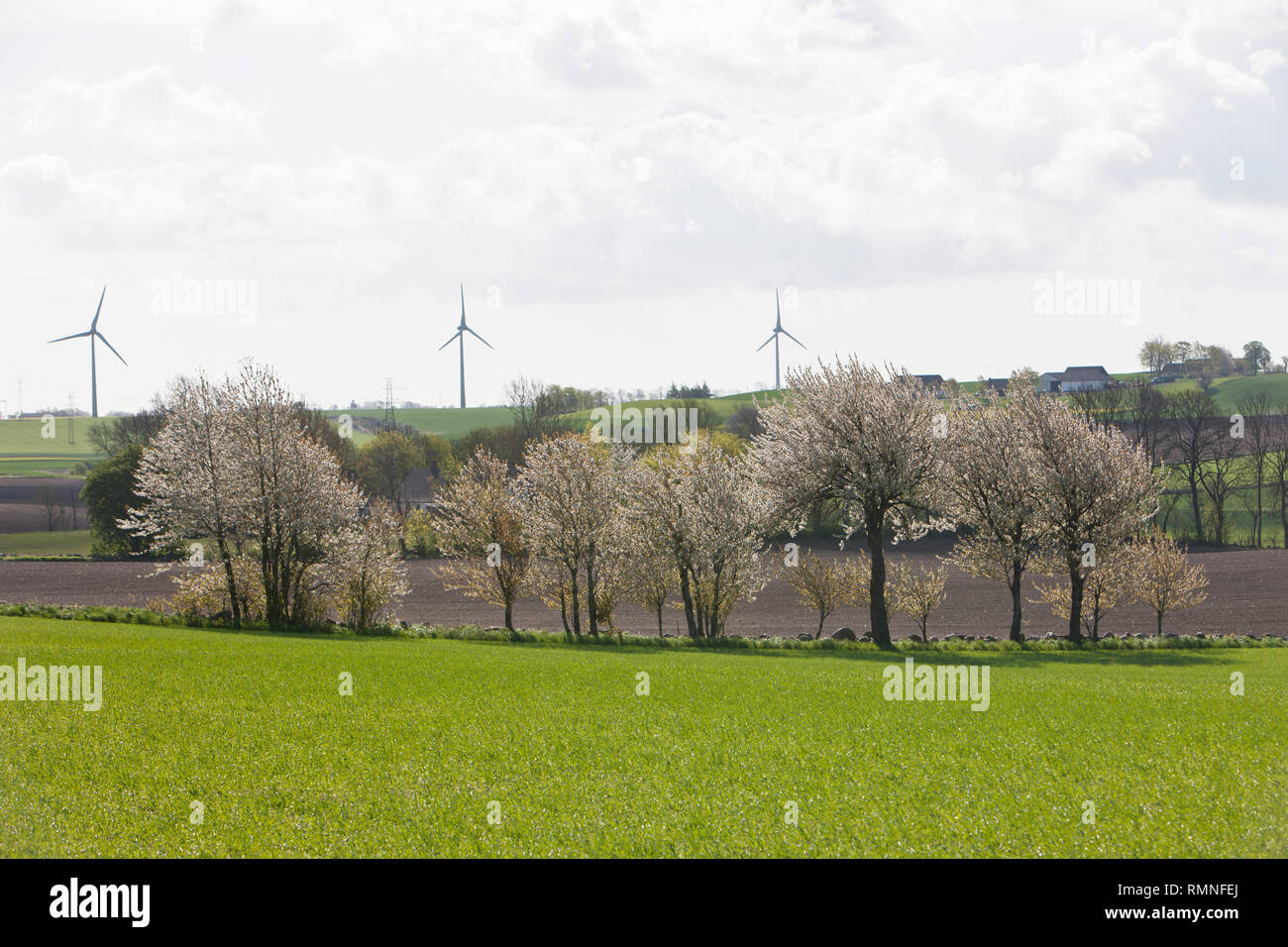Rural scene with wind turbines Stock Photo - Alamy