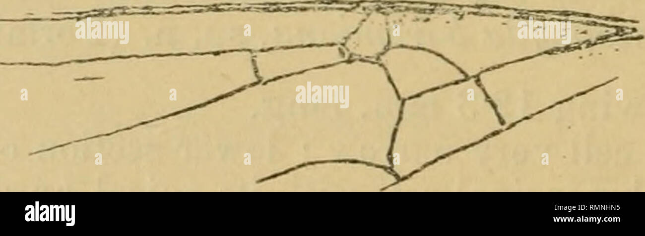 . The Annals and magazine of natural history; zoology, botany, and ...