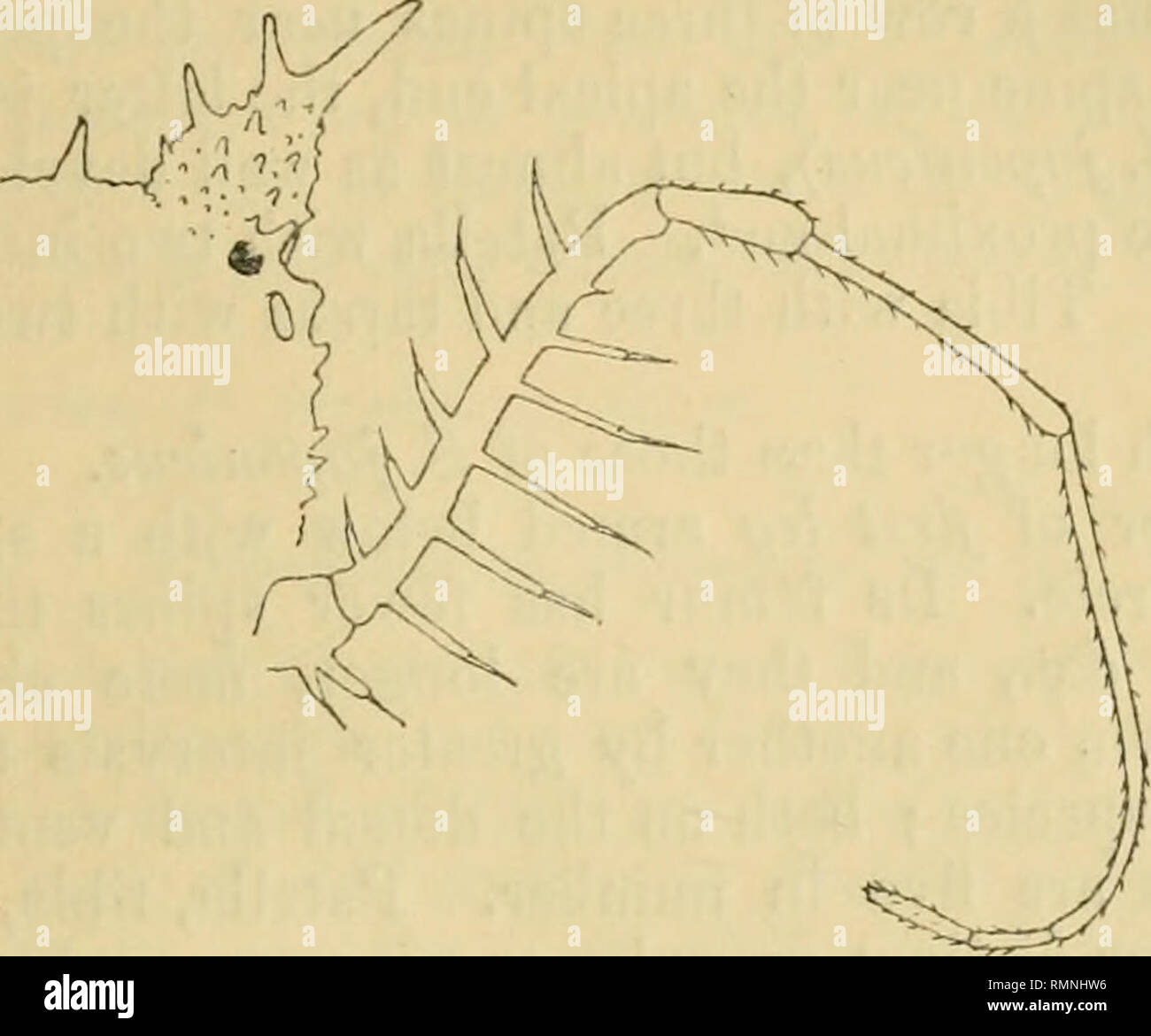 . The Annals and magazine of natural history; zoology, botany, and ...