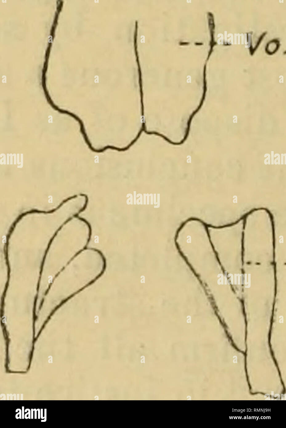 . The Annals and magazine of natural history; zoology, botany, and ...