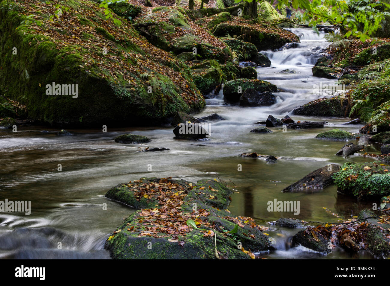 Fluss wald hi-res stock photography and images - Alamy