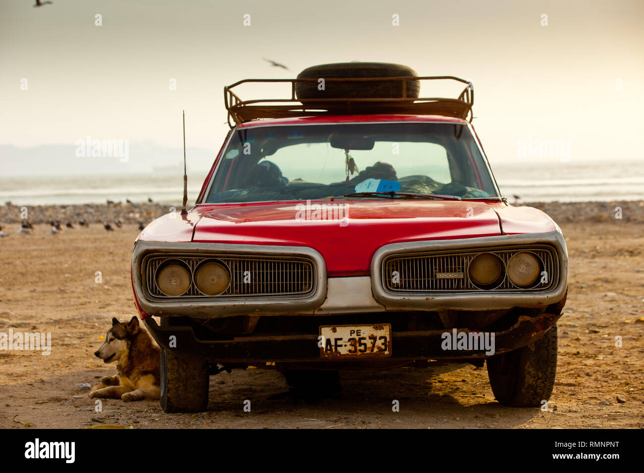 Red car in front of the ocean with a resting dog Stock Photo - Alamy