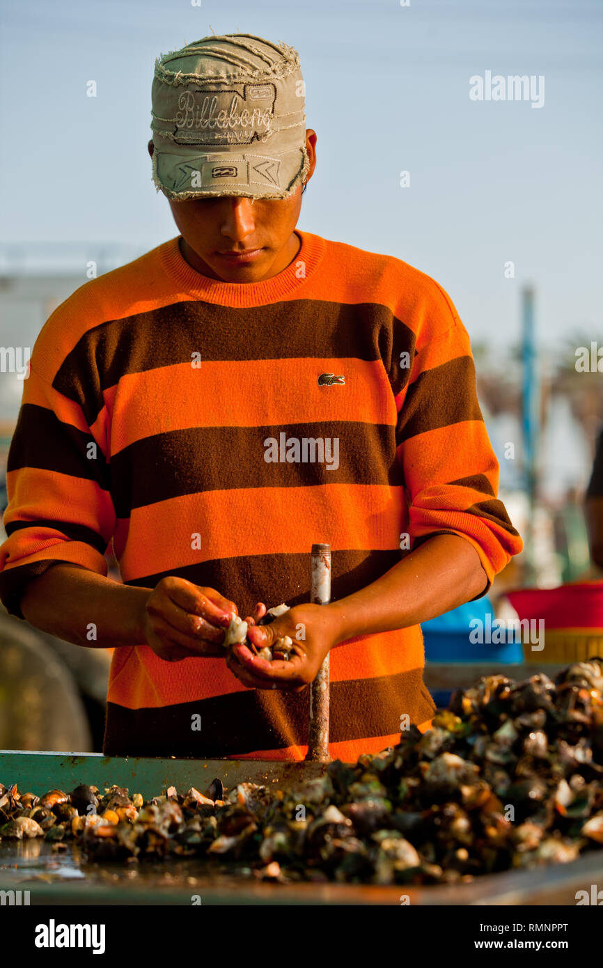 Ica's fish market in Peru Stock Photo - Alamy