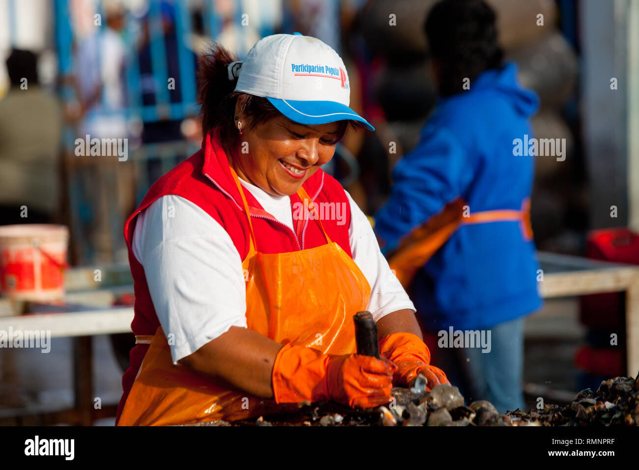 Ica's fish market in Peru Stock Photo - Alamy
