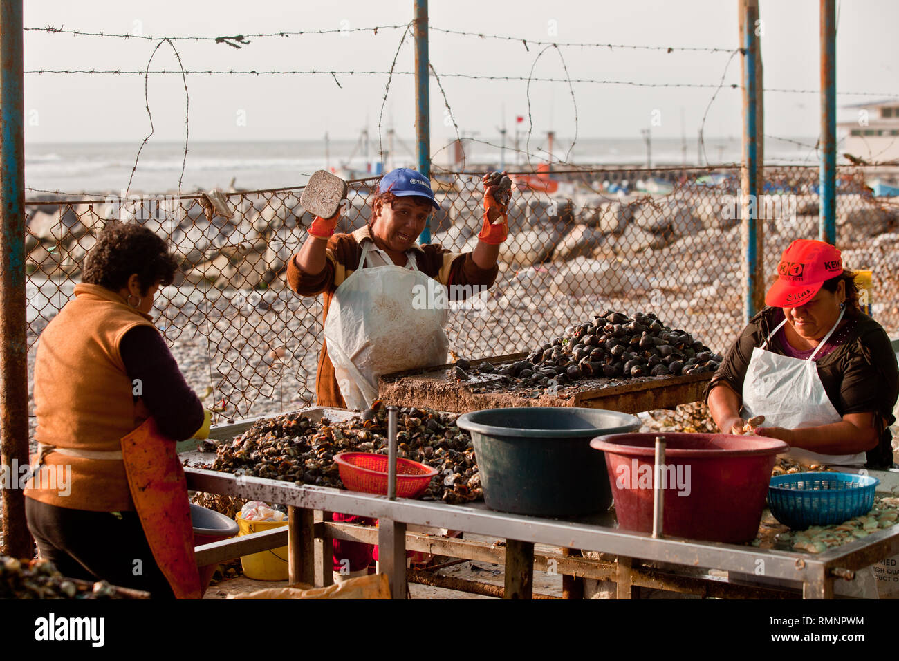 Ica's fish market in Peru Stock Photo - Alamy