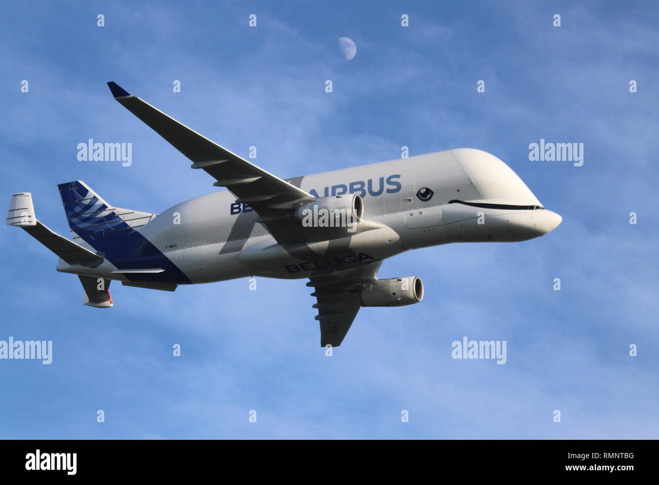 The new Airbus Beluga XL lands in North Wales for the first time, the ...