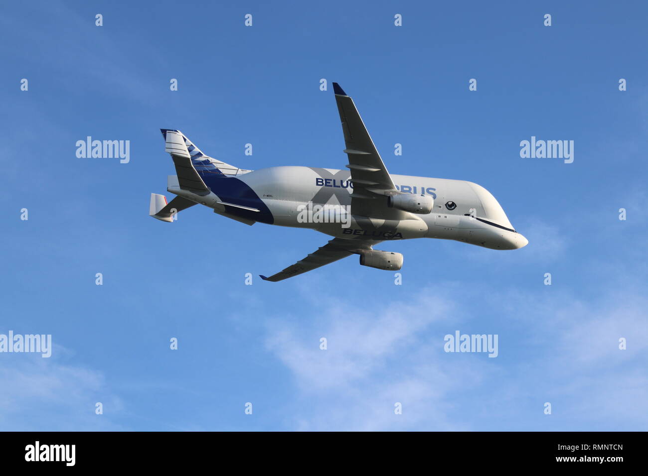 The new Airbus Beluga XL lands in North Wales for the first time, the ...