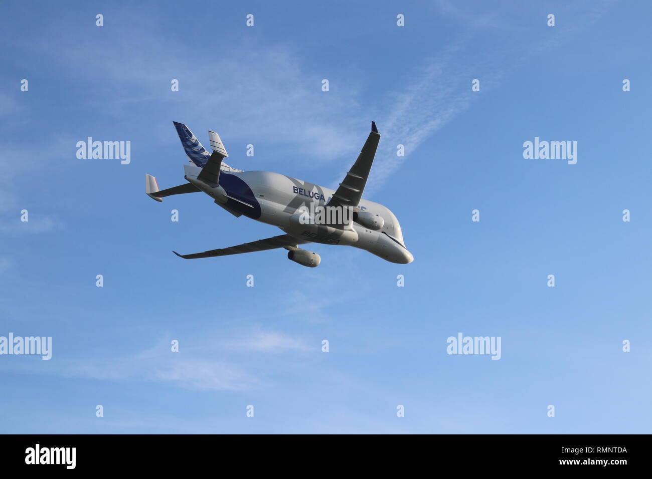 The new Airbus Beluga XL lands in North Wales for the first time, the ...