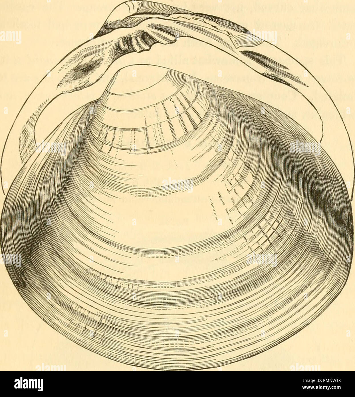 . Annals of the Lyceum of Natural History of New-York. Science. Notes ...