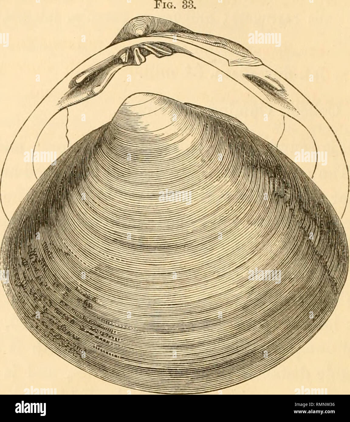 . Annals of the Lyceum of Natural History of New-York. Science. 84 ...